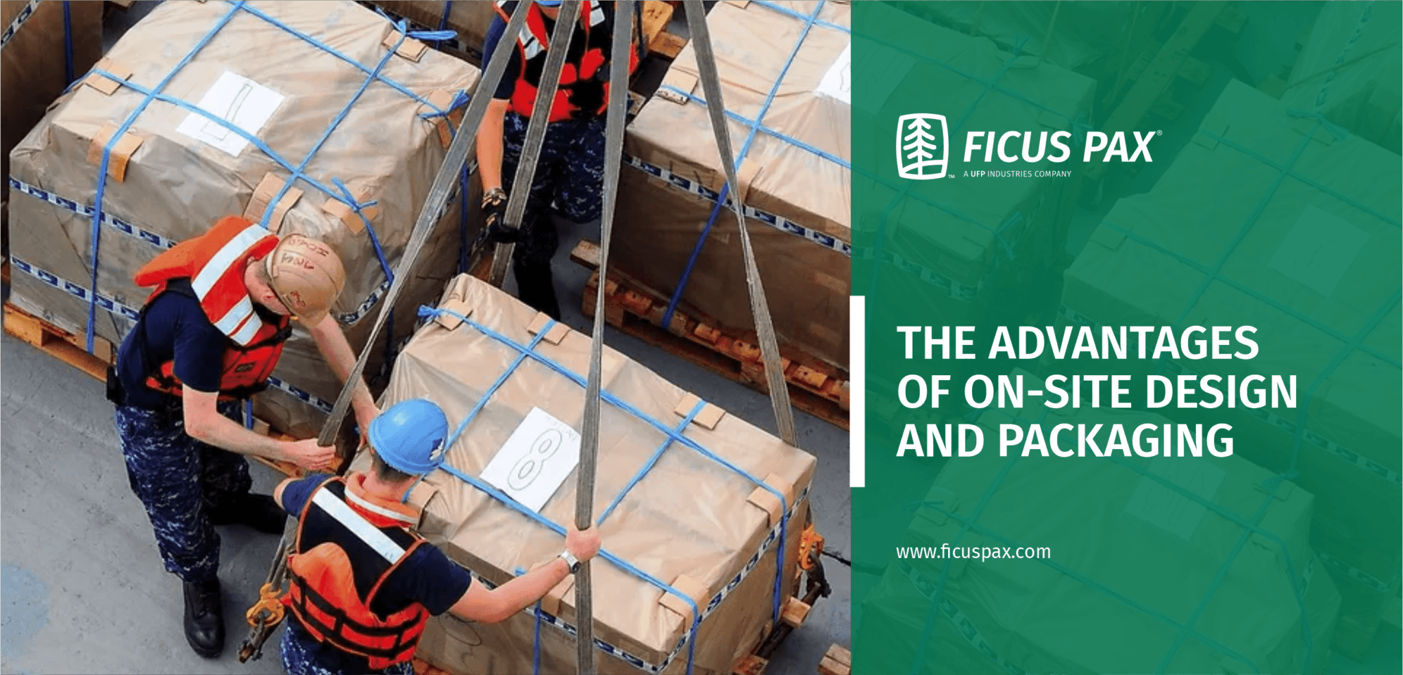 Industrial Packaging Insights & Trends | Ficus Pax